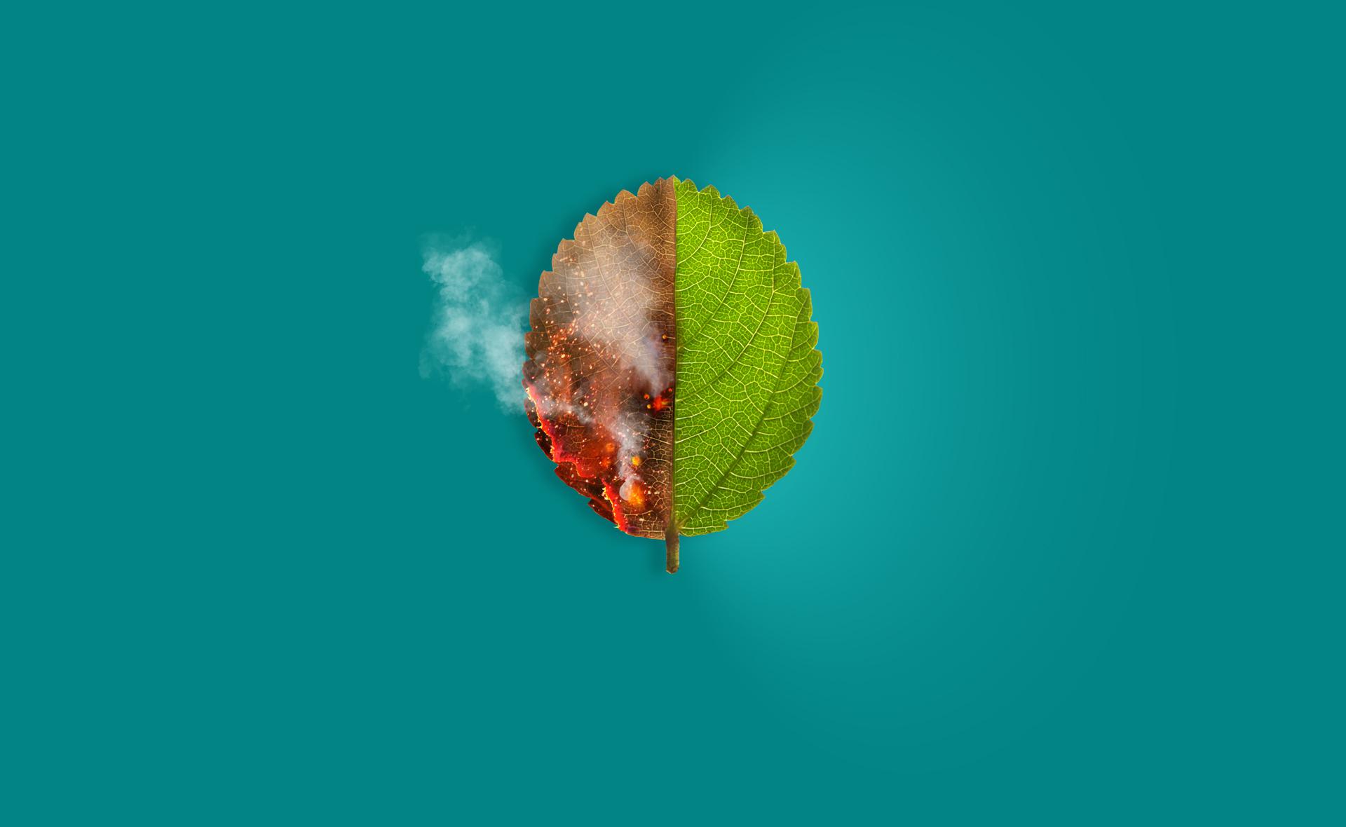 Qué es el cambio climático: causas y cómo nos afecta