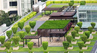 Techos verdes: ¿Por qué pueden ayudarán a mejorar el mundo?